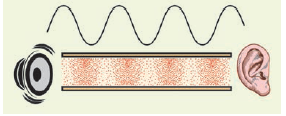 ACOUSTICS Notes 10th Science Lesson 5 Notes in English - WINMEEN