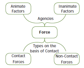 Forces and Motion Notes 6th Science Lesson 2 Notes in English - WINMEEN