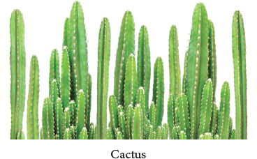 Reproduction And Modification In Plants Notes 7th Science Lesson 5 ...