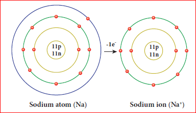 Atomic Structure Notes 8th Science Lesson 12 Notes in English - WINMEEN