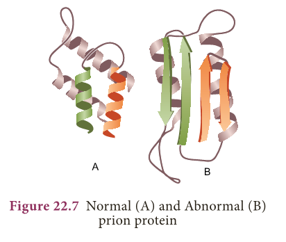 WORLD OF MICROBES Notes 9th Science Lesson 19 Notes in English - WINMEEN