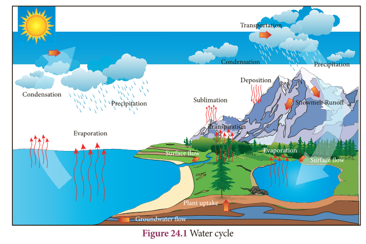 ENVIRONMENTAL SCIENCE Notes 9th Science Lesson 20 Notes in English ...