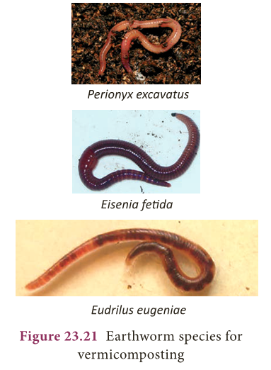 ECONOMIC BIOLOGY Notes 9th Science Lesson 21 Notes in English - WINMEEN